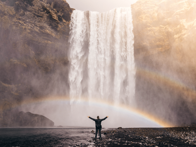 How to Reconnect with the Power of Nature - Newfield Network